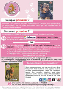 Parrainage - Suzi Handicap Animal